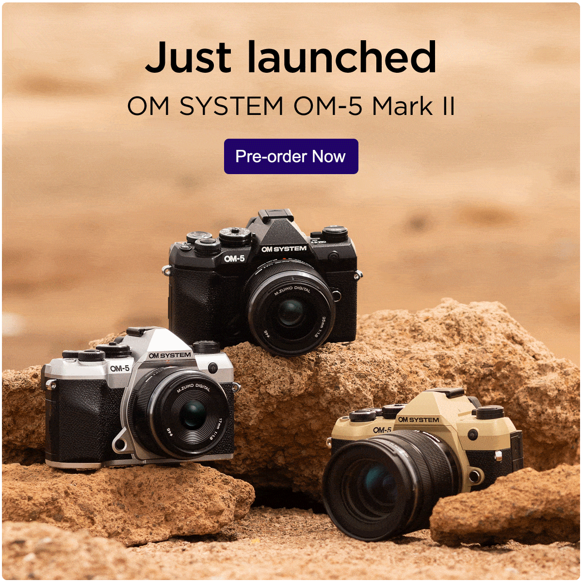 Wex Photo Video: Just Launched! Meet the OM SYSTEM OM-5 Mark II: Built ...