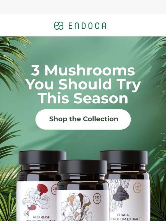 Endoca: 🌿 Unlock Nature’s Top 3 Functional Mushrooms | Milled