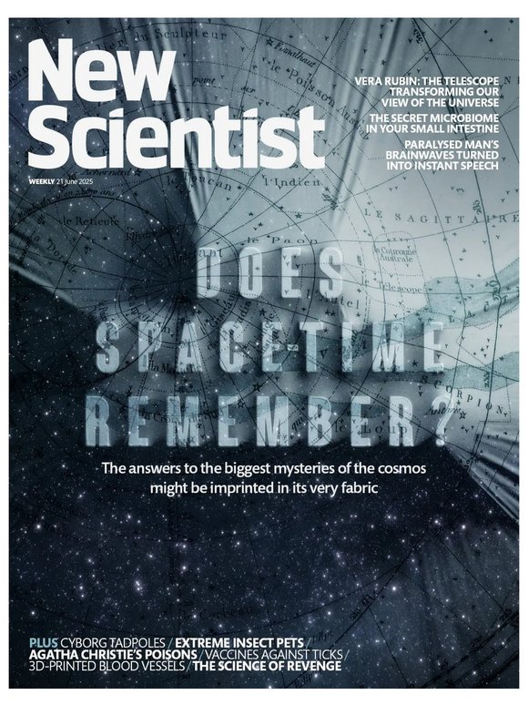 New Scientist: The small intestine's big impact on your health | Milled