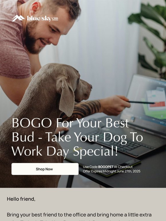 Blue Sky CBD: 🐾 BOGO for Your Best Bud — Take Your Dog to Work Day ...