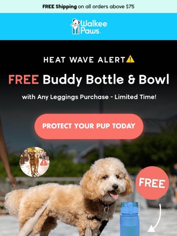 Walkee Paws: Heat Wave Alert | Milled