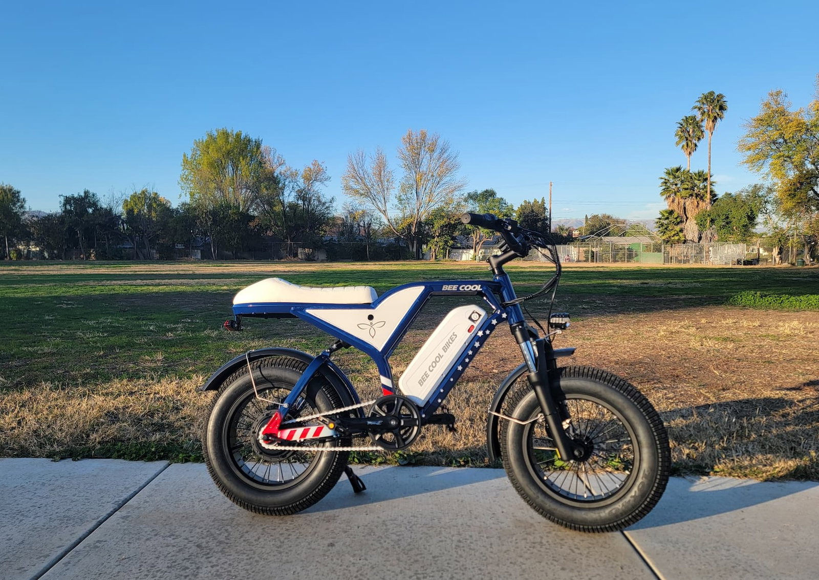 Beecool Bikes: Meet Bee Blazer: The Compact eBike That Packs a Punch 🚴⚡ ...