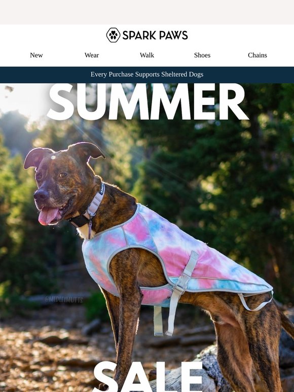 Spark Paws: Everything Your Pup Needs on Summer Adventures☀️ | Milled
