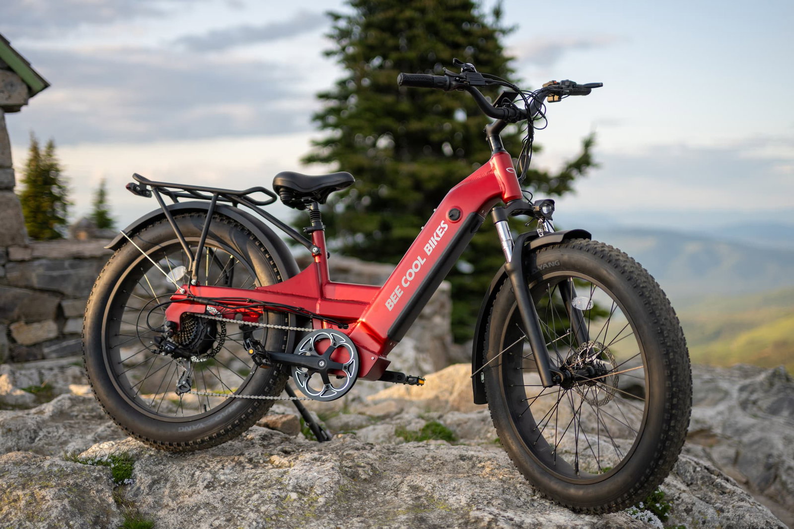 Beecool Bikes: Discover Effortless Riding with the Bee Pathfinder Step ...
