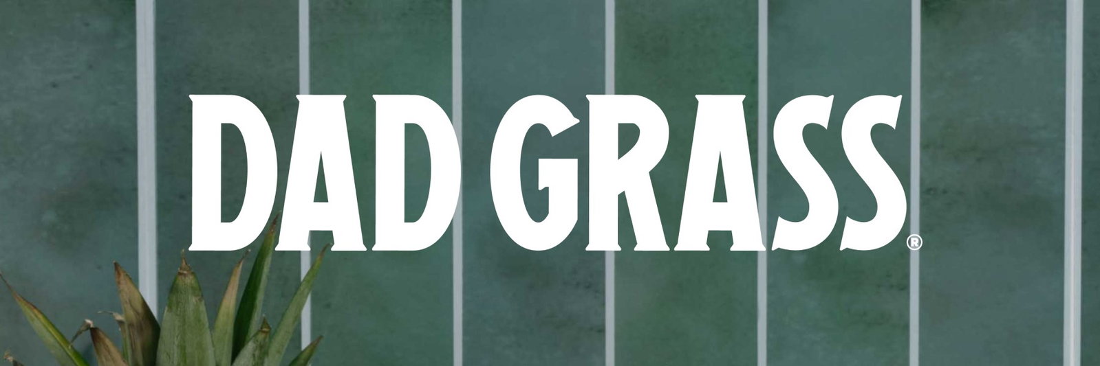 Dad Grass: Good things come in threes | Milled