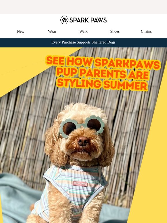 Spark Paws: SparkPaws Summer Looks, Styled by Dog Parents ☀️ | Milled