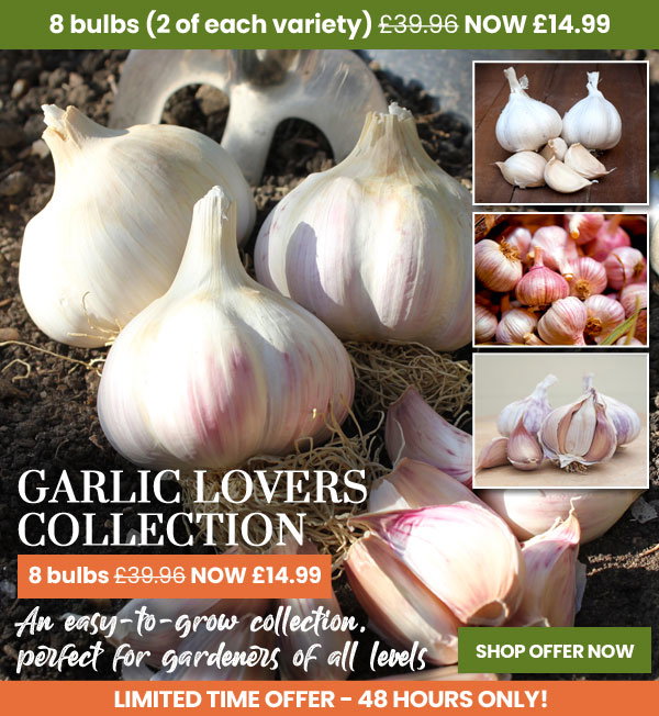 Dobies: Garlic Lovers Collection LESS THAN £2 each! | Milled