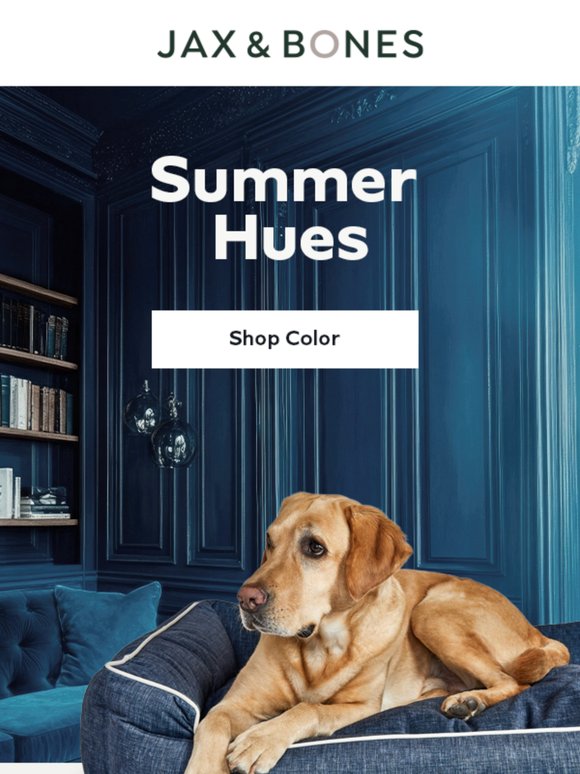Jax & Bones: Trending: Color You Can Nap On | Milled