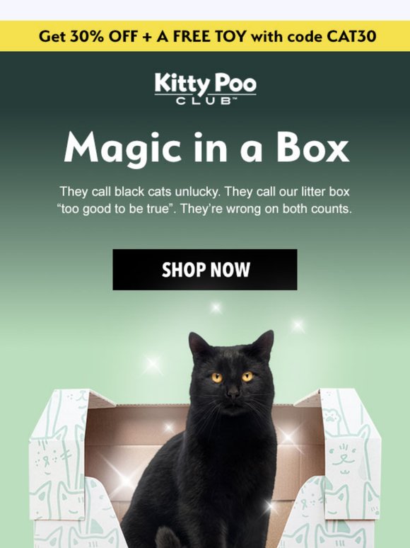 Kitty Poo Club: Celebrate Black Cat Appreciation Day with a cleaner ...