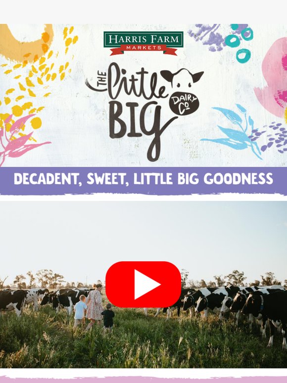 Harris Farm: The Little Big Dairy: Farm Fresh & Full of Flavour 🐄🥛 | Milled