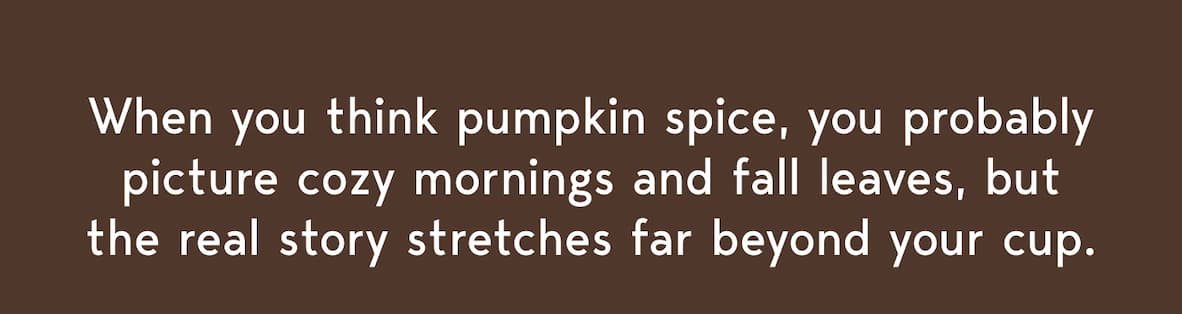 Honest History: The story behind your pumpkin spice latte ☕ | Milled