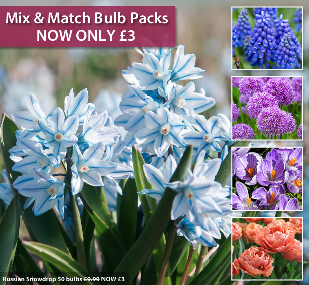 Thompson & Morgan: Only £3! Mix & Match Bulb Packs | Milled