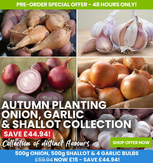 Suttons Seeds: £59 Onion, Shallot & Garlic Autumn Bundle NOW £15 | Milled