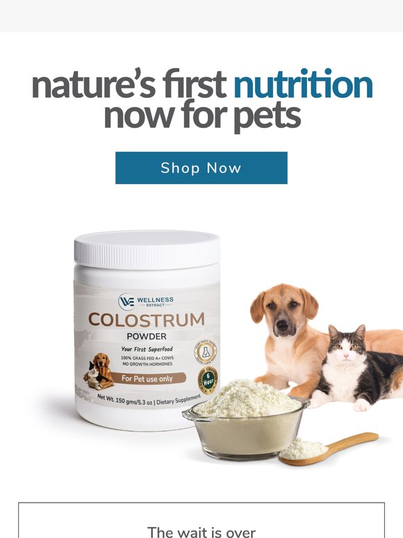 Wellness Extract: Give Your Pet the Best Start with Colostrum | Milled