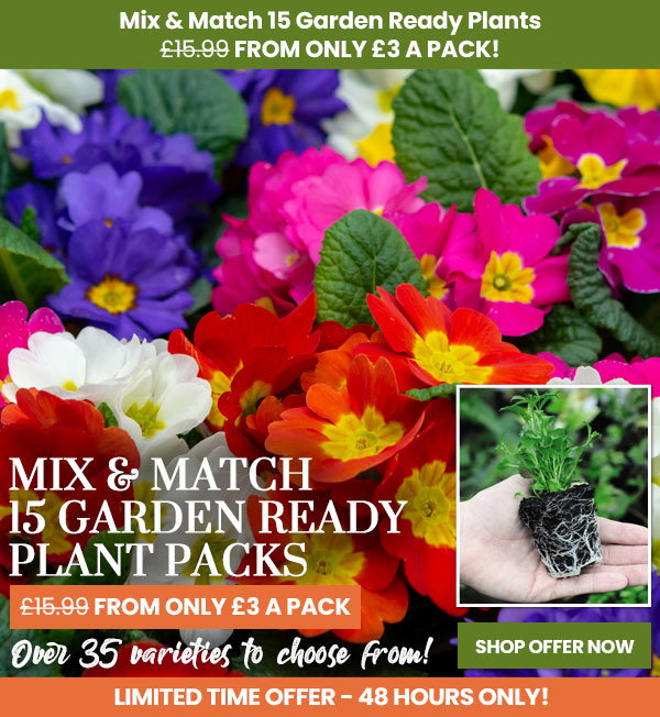 Dobies: 15 Garden Ready Plants FROM £3 A Pack! Mix & Match Special | Milled