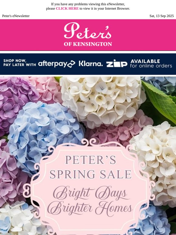 Peter's of Kensington: 50% Off RRP Now - Florabelle Jannah Glass ...