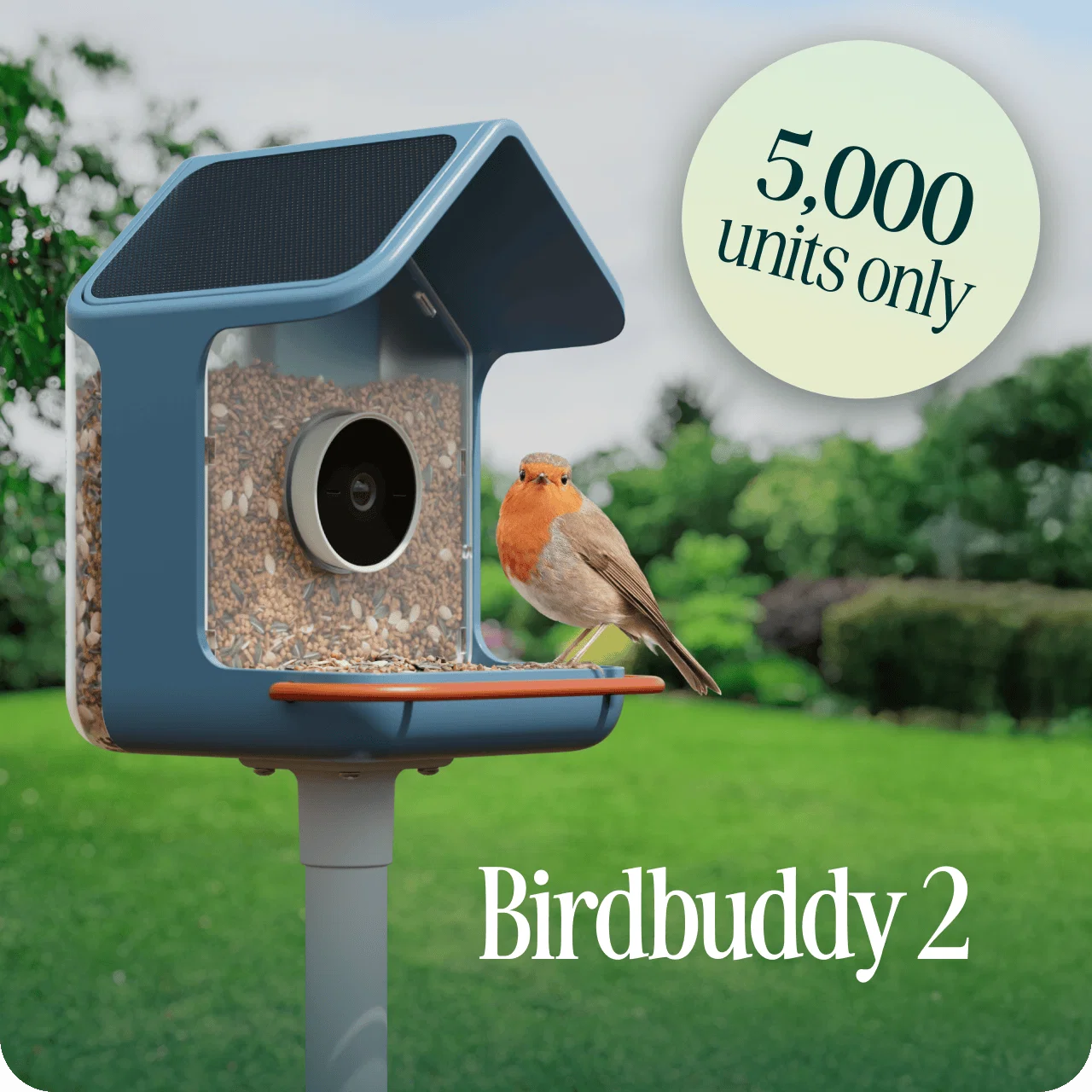 Bird Buddy: Birdbuddy 2 Pre-Order is Live | Milled