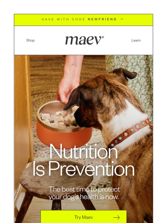 Maev: "I wish I started sooner." - Rumer Willis on her dog Dolores | Milled