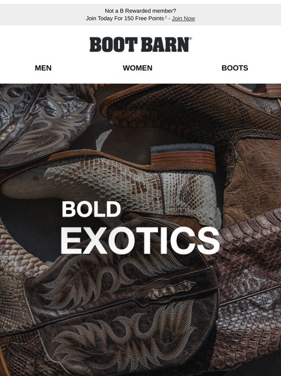 Boot Barn: Python Boots With Bold Western Style | Milled