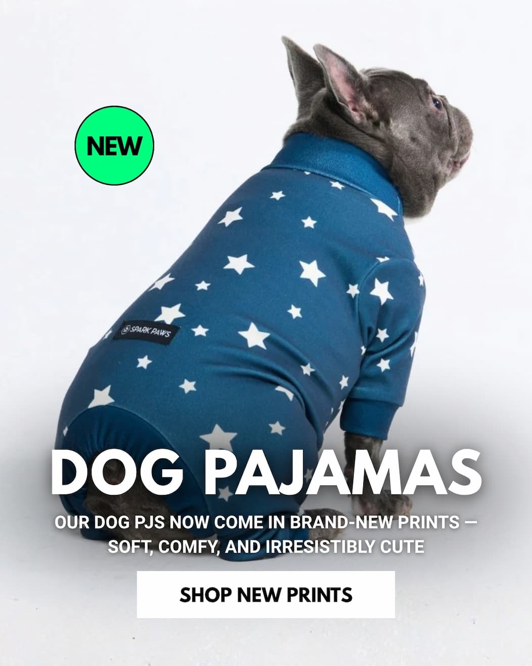 Spark Paws: New PJ Prints, Same Cuteness Overload🐶 | Milled