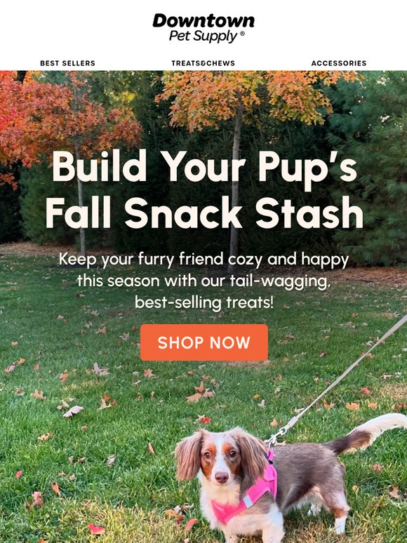 Downtown Pet Supply: Your Pup Called! They Want a Fall Snack Stash 🍂🐾 ...