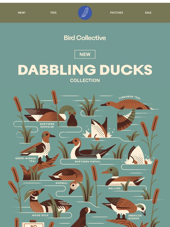 Bird Collective: NEW: Dabbling Ducks Collection! 🦆🦆 | Milled