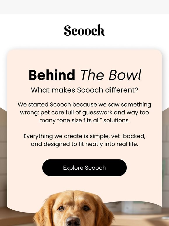Scooch Pet: Behind the bowl: What makes Scooch different | Milled