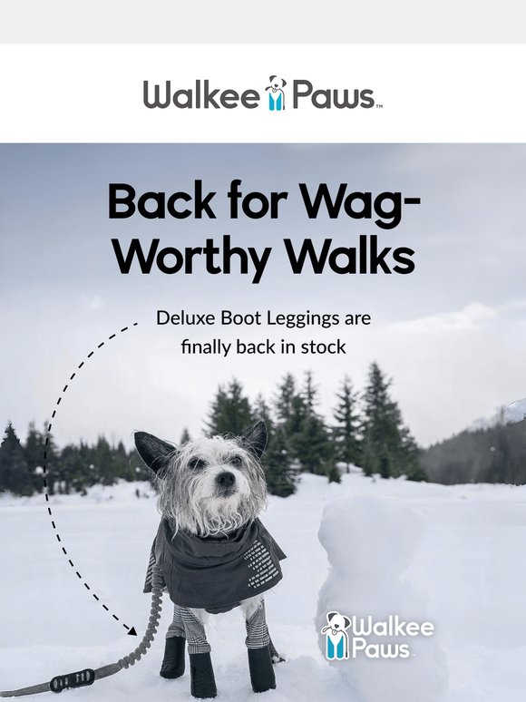 Walkee Paws: Pup-ared for Rainy Days? 🌧️ | Milled