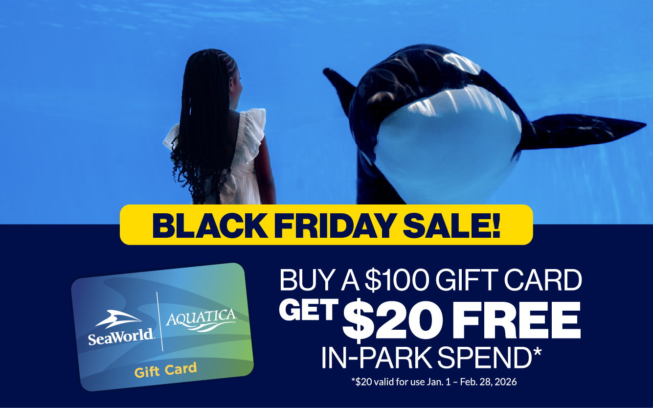 SeaWorld: Black Friday Starts NOW: Our Biggest Sale of the Year! | Milled