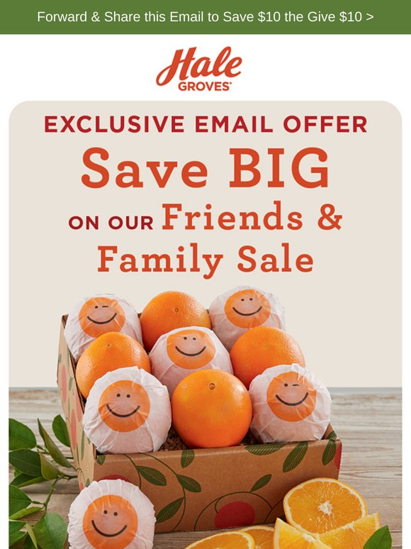 Hale Groves: A Gift for You & A Gift for Them - Save BIG in this Email ...