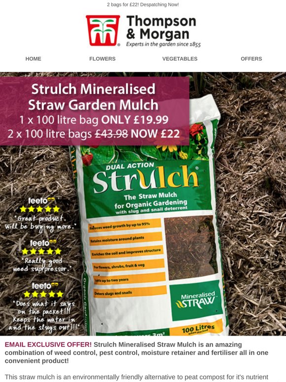 Thompson & Morgan: Weed Suppressing Strulch - Customer Favourite! | Milled