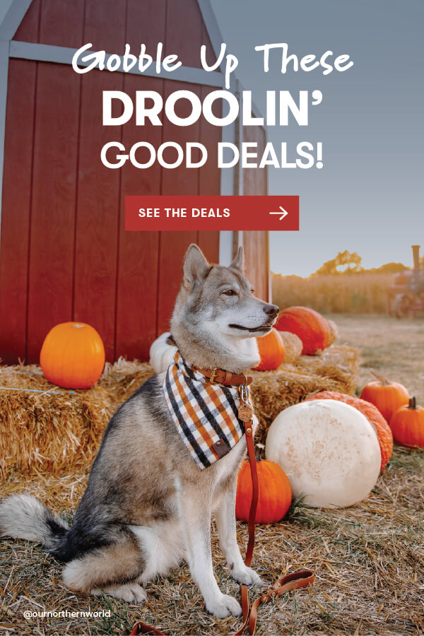 Only Natural Pet: Thankful Droolin’ Good Deals 🍂🦃 | Milled