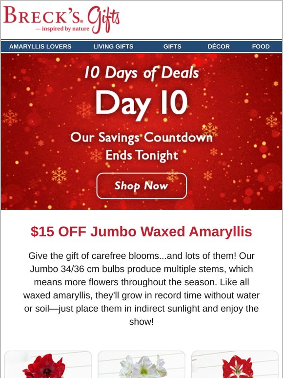 Breck's Gifts: 10 Days of Deals ends with $15 Off! | Milled