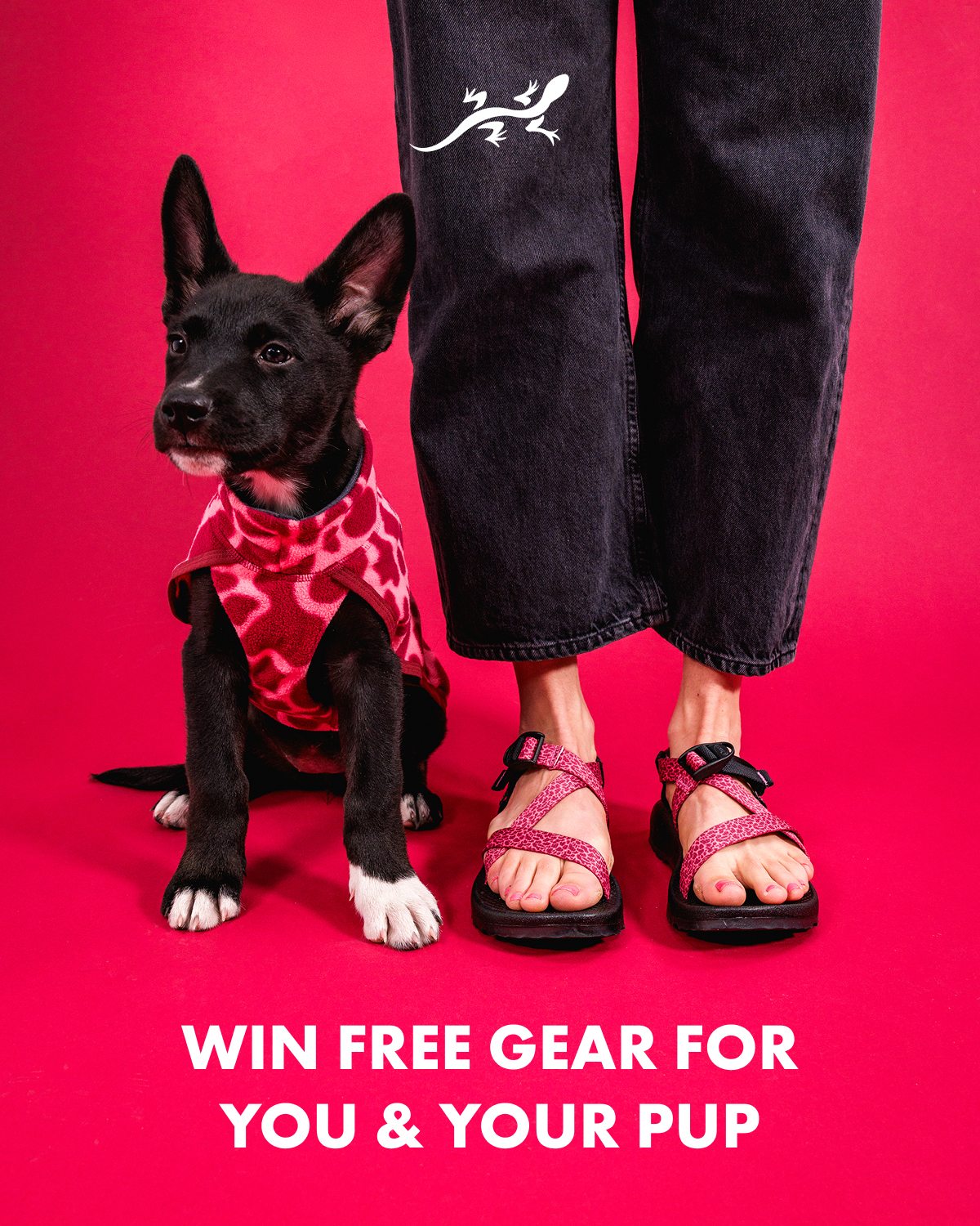 Chacos: Chaco x Ruffwear Giveaway | Milled