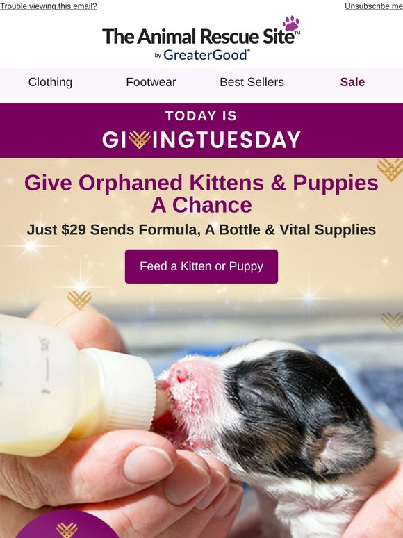 The Animal Rescue Site: Every Sip Saves a Life 🐾 Donate a Formula Kit ...