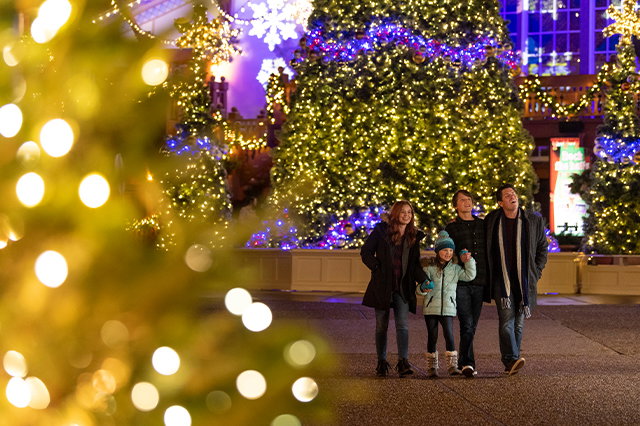 Busch Gardens: Virginia’s Largest Christmas Event: Now Open Daily! | Milled