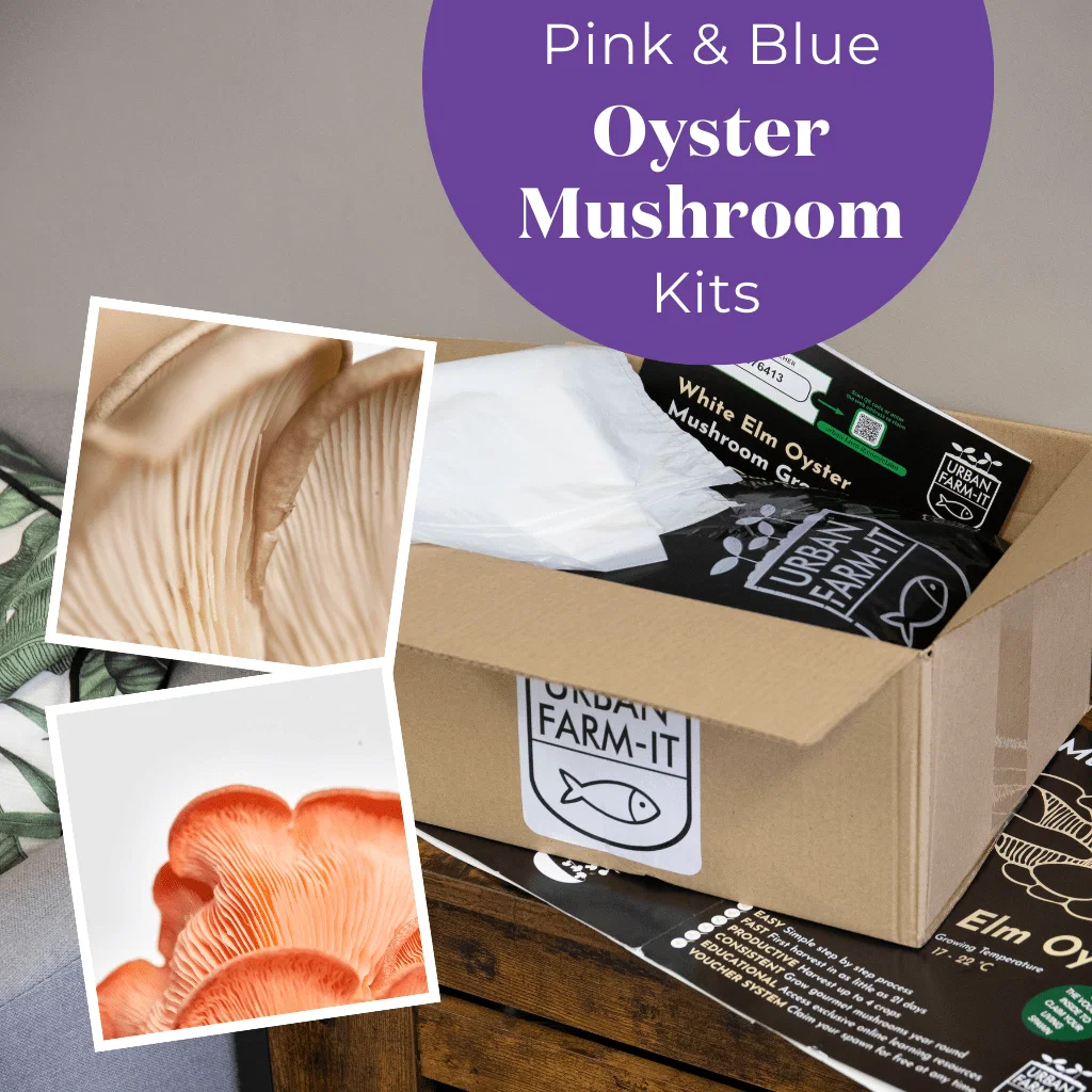 Marshalls Seeds: Grow Your Own Gourmet Mushrooms at Home | Milled