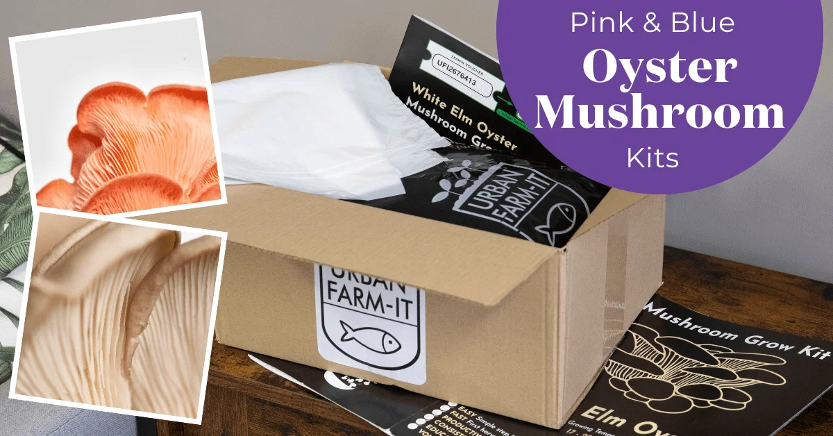 Marshalls Seeds: Grow Your Own Gourmet Mushrooms at Home | Milled