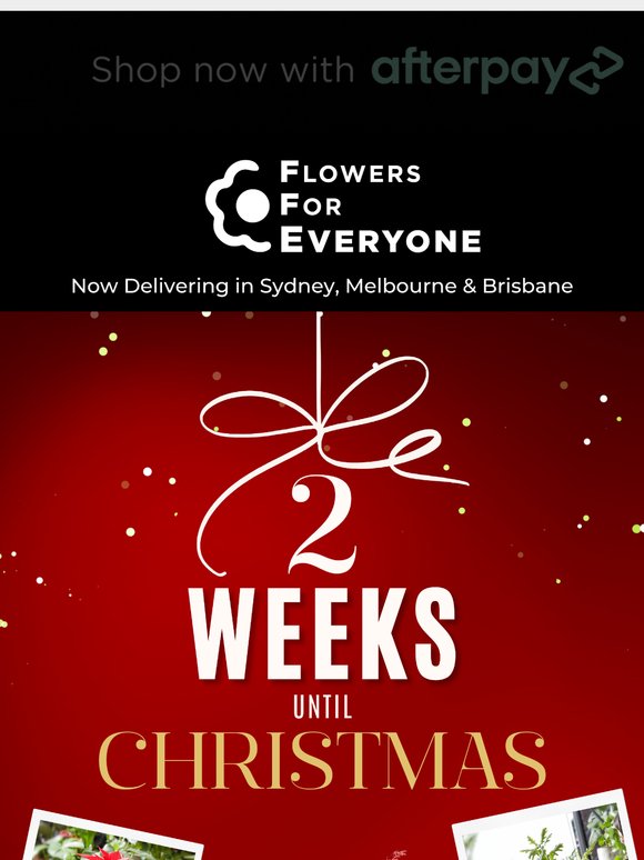 Flowers For Everyone: 🎁 Only 2 Weeks Left! | Milled
