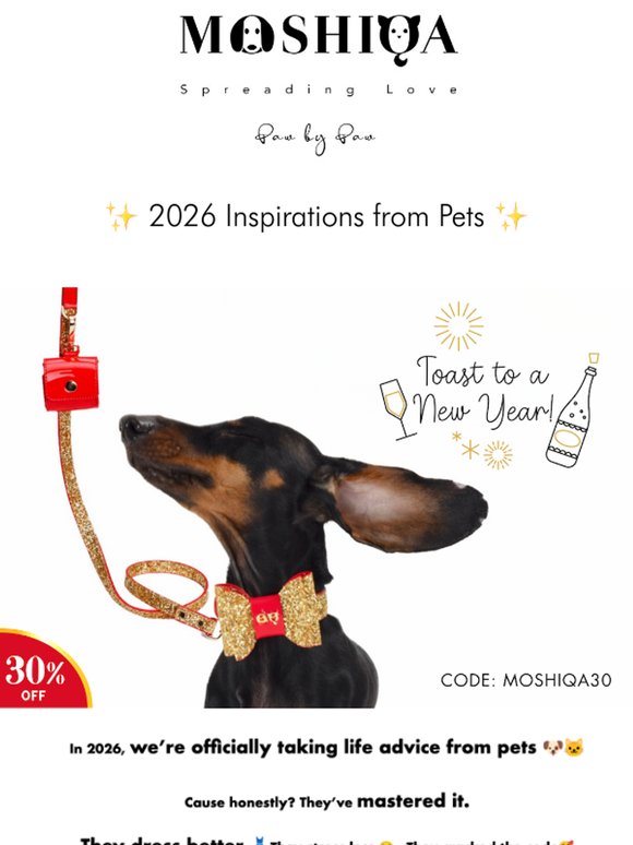 Moshiqa: 2026 Inspirations from Pets | Milled