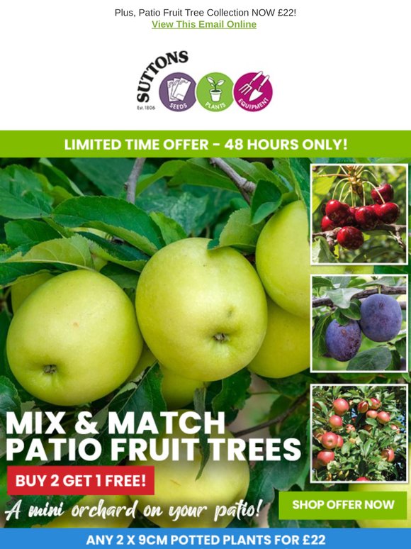 Suttons Seeds: Patio Fruit Trees - BUY 2 GET 1 FREE | Milled