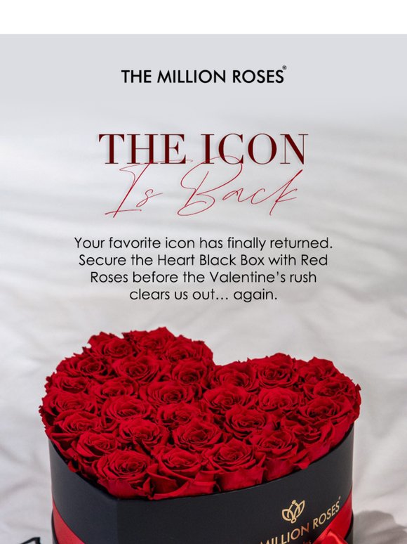 The Million Roses: Valentine’s Most Iconic Gift | Milled