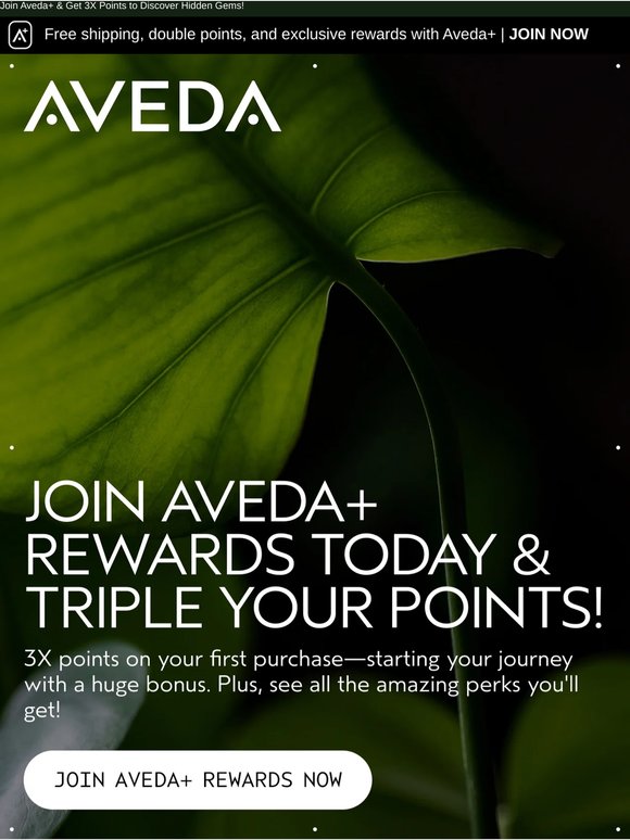 Aveda: The biggest first-order bonus: 3X points. | Milled