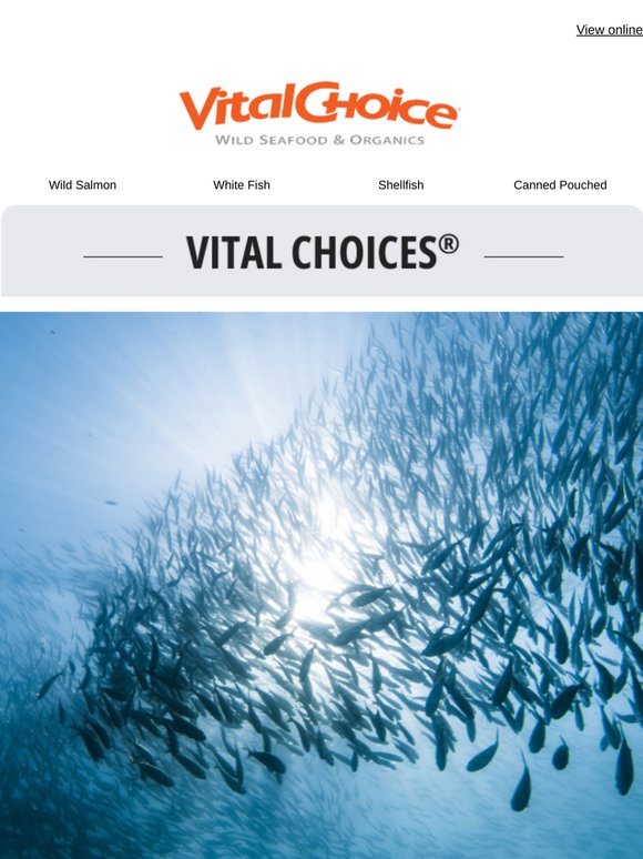 Vital Choice: Curious about sardines? We’ve got all you need to know ...