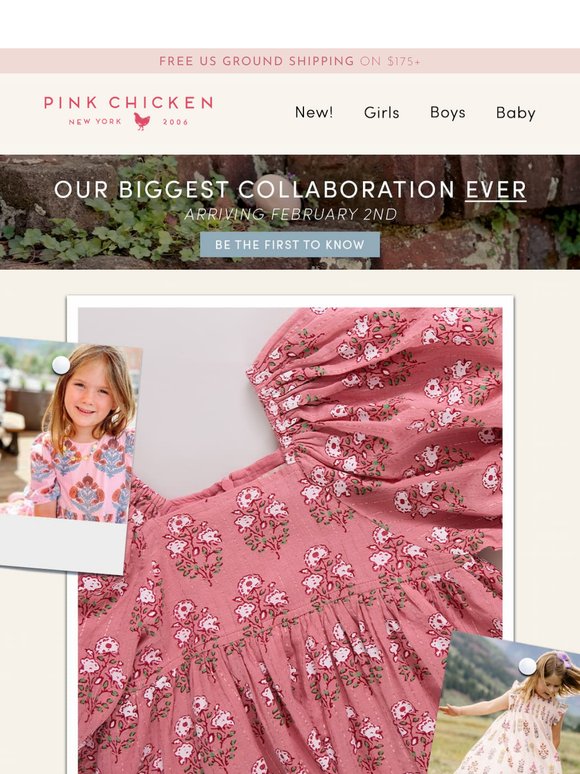 Pink Chicken: More Than a Dress🌸💕 | Milled