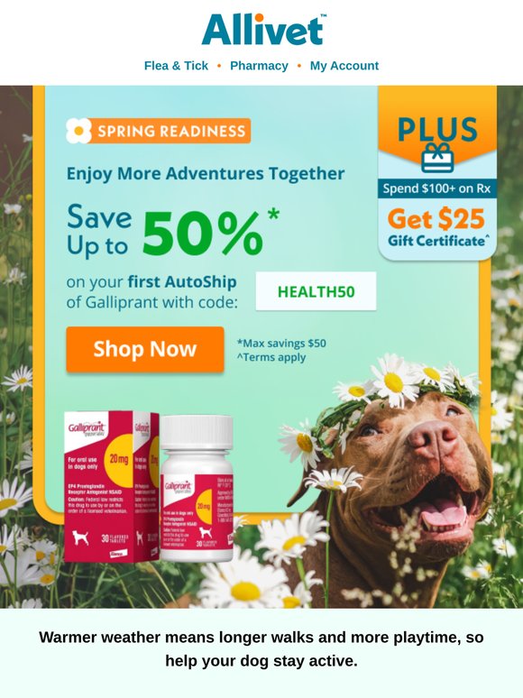Allivet: Spring Readiness: Up to 50% off Galliprant | Milled